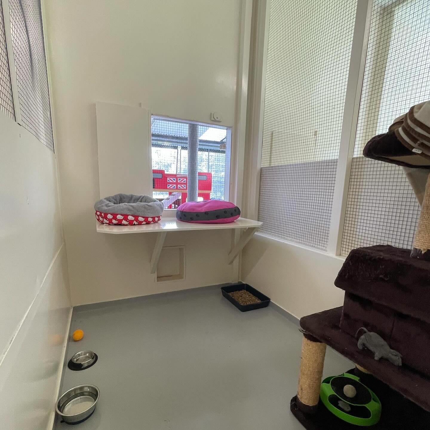 Boutique Cattery – Aucklands Premium Cattery