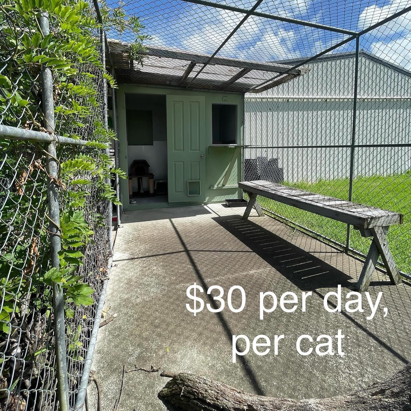 Boutique Cattery – Aucklands Premium Cattery